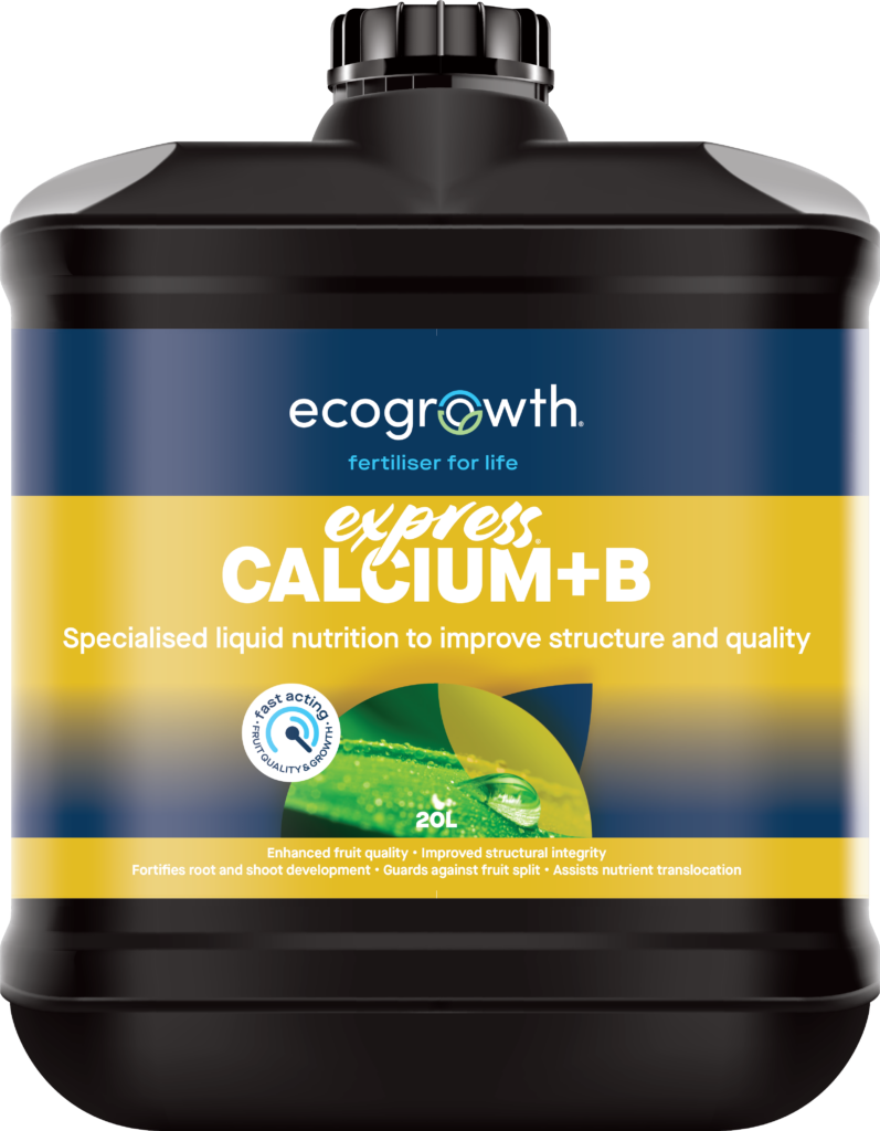 Express® Calcium + B | Liquid Nutrition For Structure and Quality